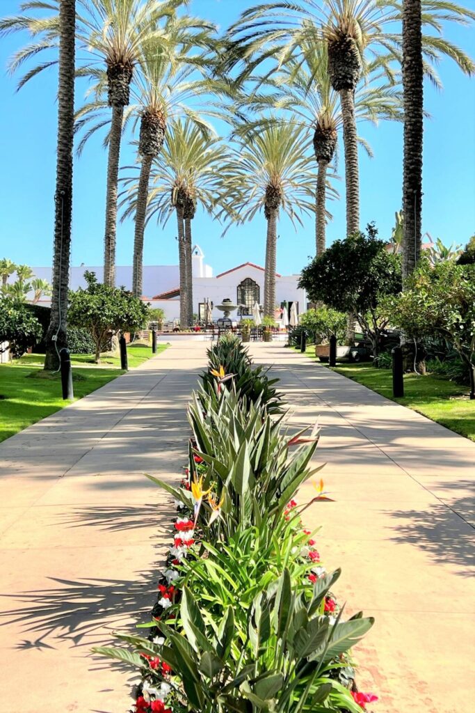 La Costa Vacation Tips | Where To Eat, Stay, & What To Do