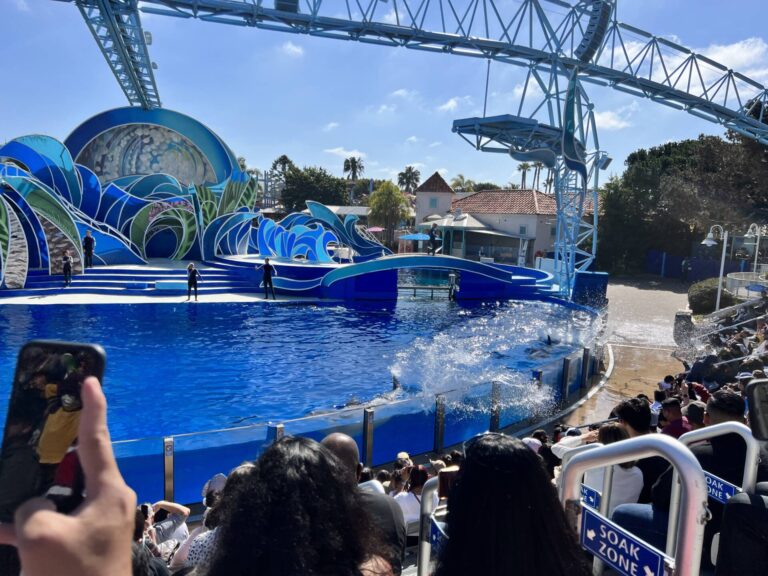 7 SeaWorld Family Friendly Tips & MUST SEE Attractions | Haustay