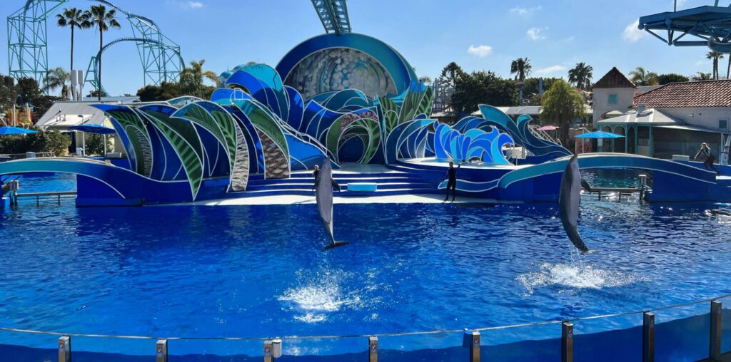 7 SeaWorld Family Friendly Tips & MUST SEE Attractions | Haustay