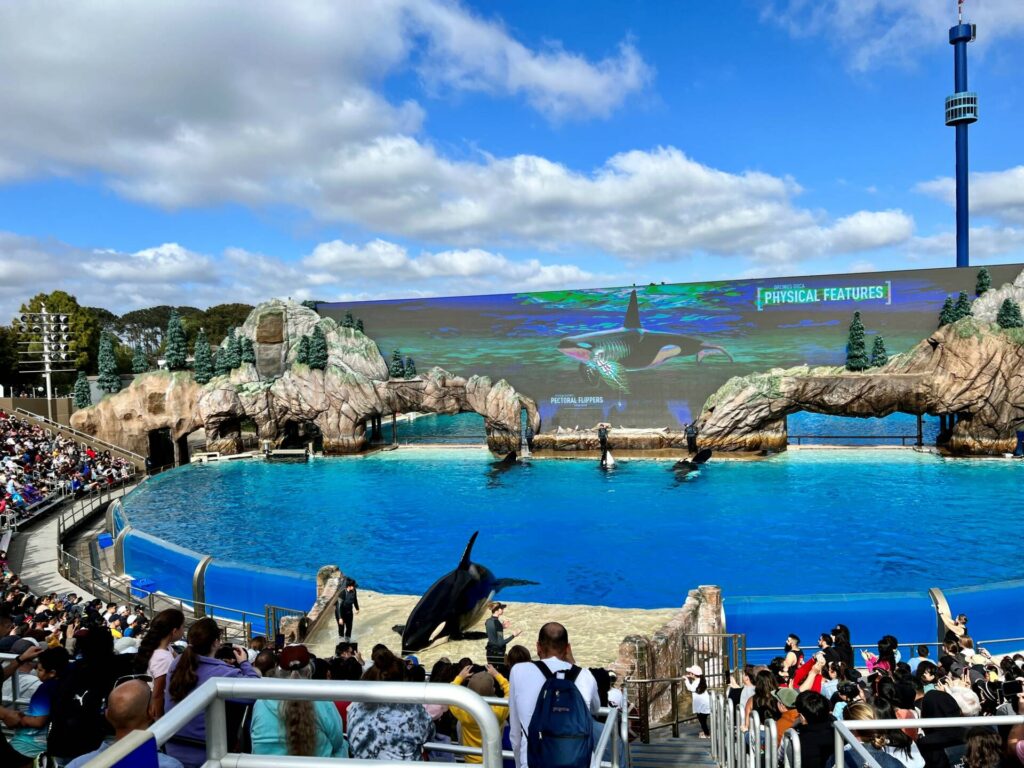 7 SeaWorld Family Friendly Tips & MUST SEE Attractions | Haustay